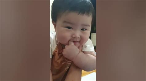 아기힐링 푸우우우우 Youtube