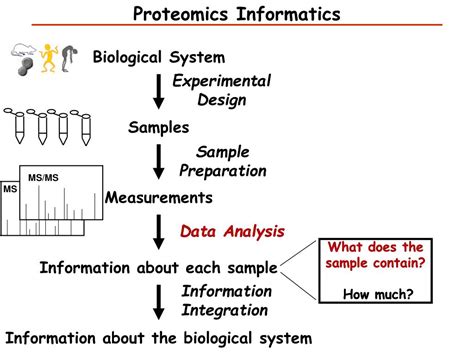 Ppt Proteomics Informatics Workshop Part I Protein Identification David Fenyö February 4