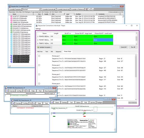 Primer Blast Dna Sequencing Software Sequencher From Gene Codes