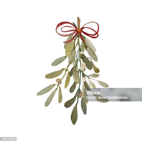 겨우살이 의 가지의 수채화 그림 수채화로 그려진 손으로 모든 유형의 디자인에 적합합니다 겨우살이과에 대한 스톡 벡터 아트 및 기타 이미지 겨우살이과 자연 잔가지