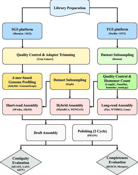 Spades Sequence Assembly At Maryanne Grant Blog