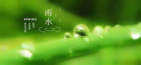 雨水节气到，这样养生很重要→澎湃号·政务澎湃新闻 The Paper