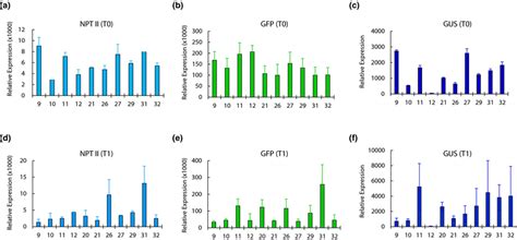 transcript abundance analysis of constitutively expressed genes by real