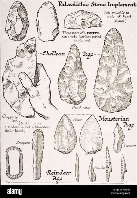 Mesolithic Age Tools And Weapons