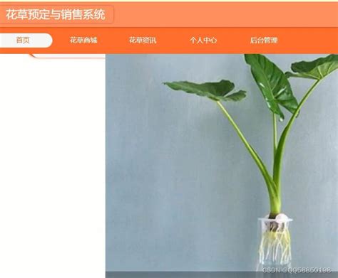 nodejs vue绿植花草预订与销售系统epxress nodejsepxress csdn博客