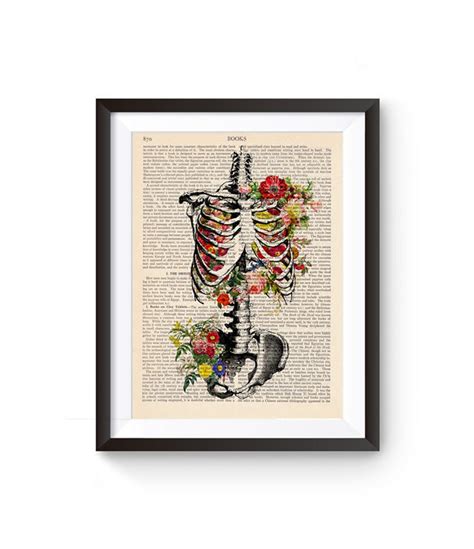 Anatomy Print, Medical Poster, Anatomical Illustration / Skeleton With ...