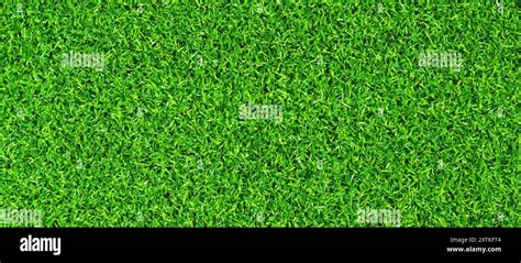 Artificial Green Grass Mat Top View Texture Artificial Turf Surface