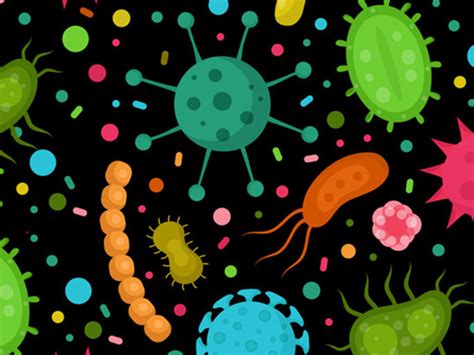 Lyme Disease And Co Infections Healthy U