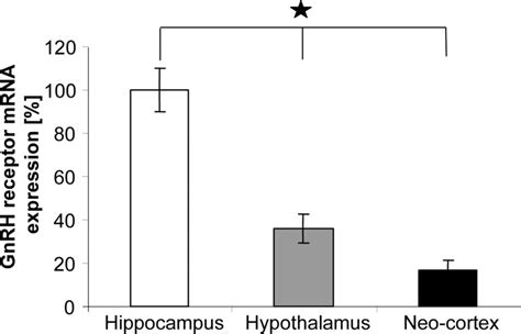 Gnrh R Mrna Expression Is Strongest In The Hippocampus Real Time