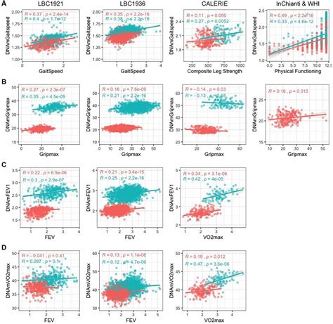 Dnamfitage Biological Age Indicator Incorporating Physical Fitness