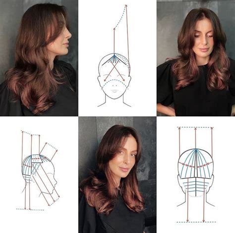 Hairdressing Diagrams On Instagram Haircut And Diagrams By