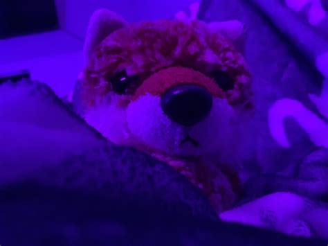 Hey Pandas, Post Your Plushie (Closed) | Bored Panda