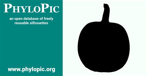 Cucurbita Pepo Pepo By Evan Swigart Photography And T Michael Keesey