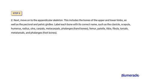 Solved Bio 107 Lab 4 Axial Vs Appendicular Skeleton Directions