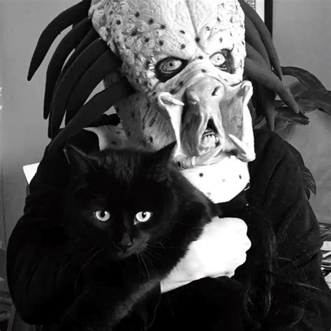 Cloporte Festival Les Intergalactiques