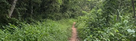 Avalahalli Extended Loop Karnataka India 16 Reviews Map Alltrails
