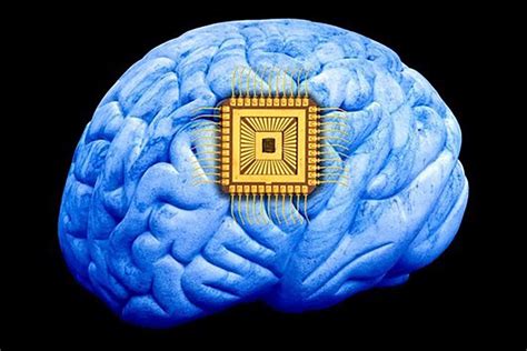 Учёные создали читающую мысли нейросеть