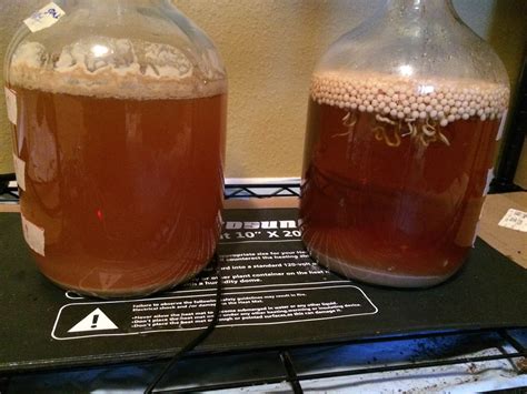 Jons Brewing Experiments Encapsulated Yeast Beads V10