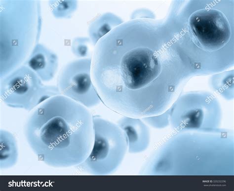 Cell Divides Into Two Cells Bluegray Stock Illustration 320232296 Shutterstock