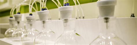 The Case For Open Or Closed Sterility Testing Infinity