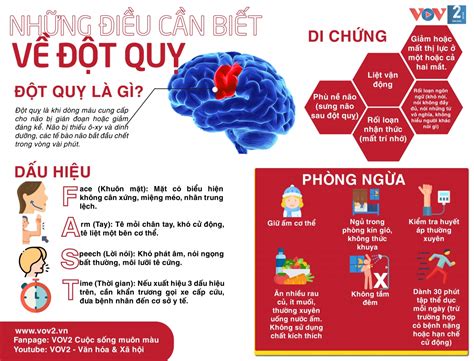 Infographic Những điều cần biết về đột quỵ VOV2 VN