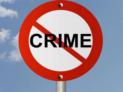 गुन्हे शाखेकडून छापेमारी दारुभट्ट्या उद्ध्वस्त सुमारे दीड किलो गांजा