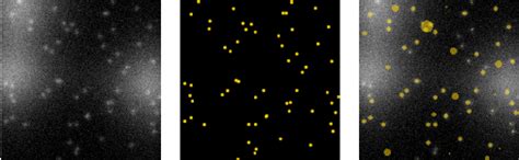 Blob Detection In A Synthetic Sequence A Gaussian Spots With A Download Scientific Diagram