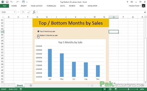 Excel Chart Of Top Bottom N Values Using Rank Function And Form