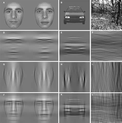 Image Of Visual Input Rneuro
