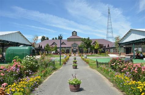 【2024年】山形県東置賜郡高畠町で人気の観光・お出かけスポット 13選 Yahooトラベル