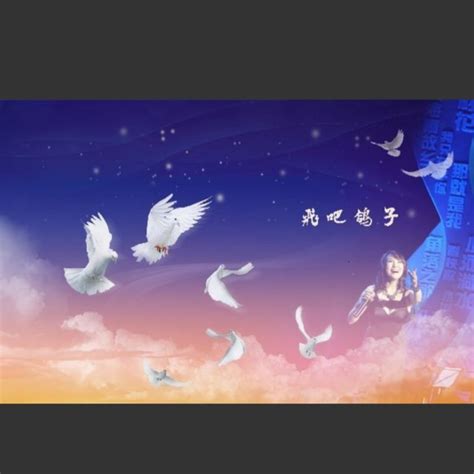 飞吧鸽子歌词 绿荫 飞吧鸽子简歌 大山谷图库