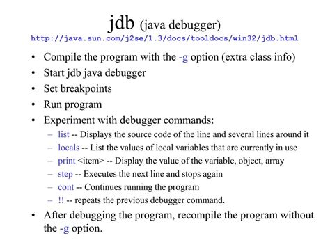 ppt java and project delivery powerpoint presentation free download