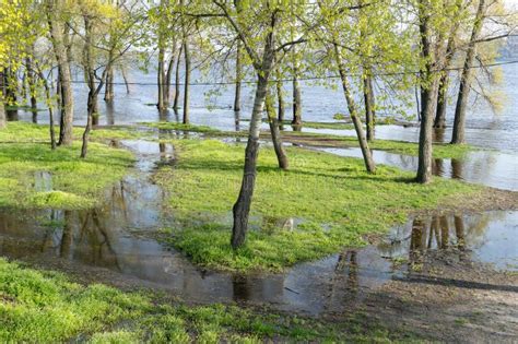 Flood River In Spring Time Overflowed River Bank In City Water Filled