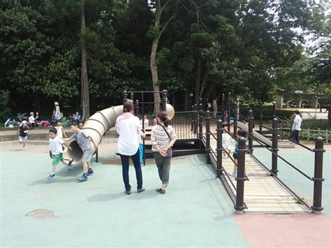 増尾城址総合公園久しぶりの増尾城址総合公園の体験レポート Kids Play キッズプレイ