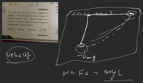 Ncm0056 57 The Bob Mass M Of A Simple Pendulum Of Length L Is Held Ho