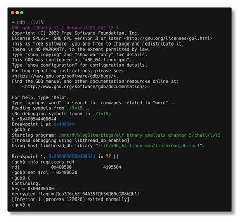 CTF Challenge Walkthrough From Practical Binary Analysis K4n3ki