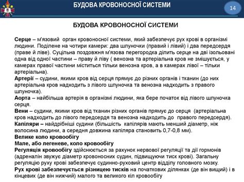 Загальні принципи надання домедичної допомоги Основи домедичної допомоги презентация онлайн