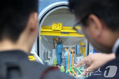 한국형원자력발전소 APR1000 모습은 뉴스1