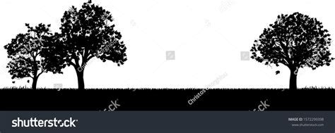 Tree Silouette Stock Vectors Images Vector Art Shutterstock