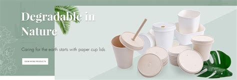 사용자 정의 디자인 뚜껑이있는 플라스틱 무료 종이 컵사용자 정의 디자인 뚜껑이있는 플라스틱 무료 종이 컵 개 제조업체