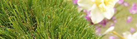 3d Grass Genesis Turf