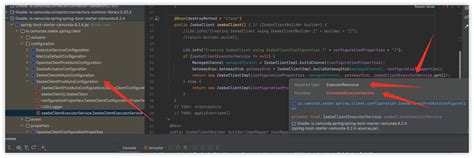 Cannot Match Version 830 Alpha4 · Issue 464 · Camunda Community Hub
