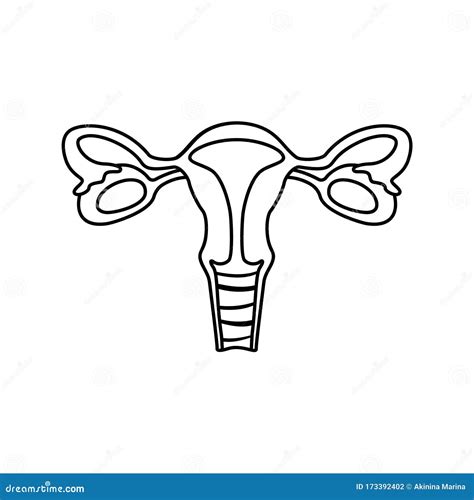Female Reproductive System Icon Linear Template For Anatomy Poster Black Simple Illustration