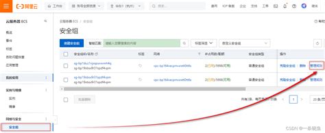 阿里云服务器公网ip映射内网ip阿里云的公网ip怎么映射到内网 Csdn博客