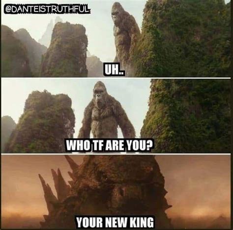 50 Funny Godzilla Vs King Kong Memes