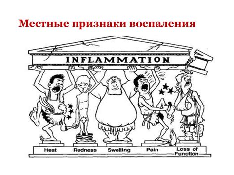 Воспаление Часть 3 Местные признаки воспаления презентация онлайн