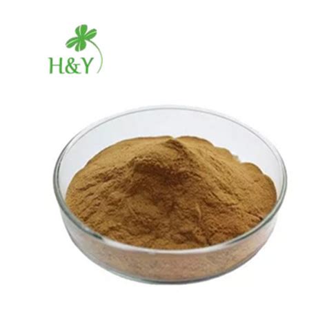 Andrographis Paniculata Leaf Extract Powder Capsule High Quality