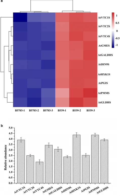 Protein Expression Analysis A Heatmap Of Relative Protein Expression