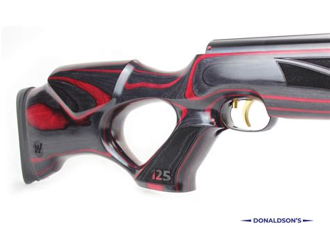 air rifle