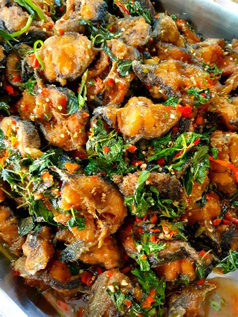 แจกสูตรทำ กะเพราปลาดุกกรอบ รสชาติจัดจ้าด จัดเครื่องให้หอมฉุย ทานกับข้าวมื้อไหนเป็นต้องเติมข้าว